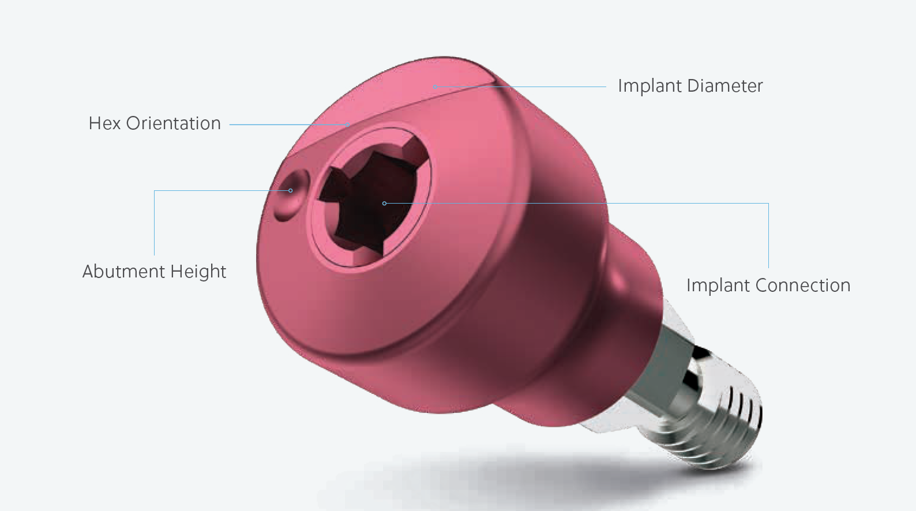 Encode® Emergence Healing & Impression System - Implacom BV